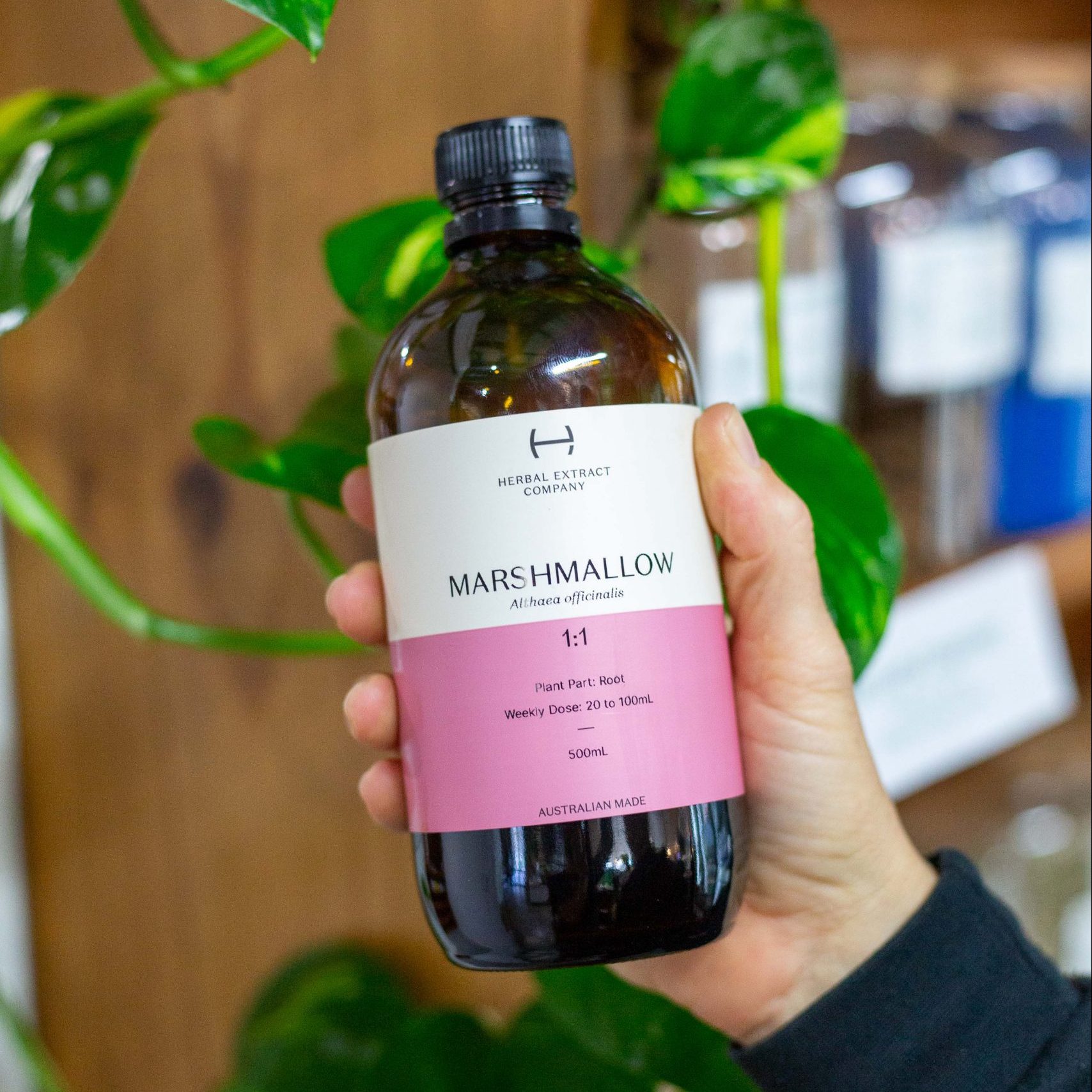 Naturopath Palm Beach - Naturopath Palm Beach
